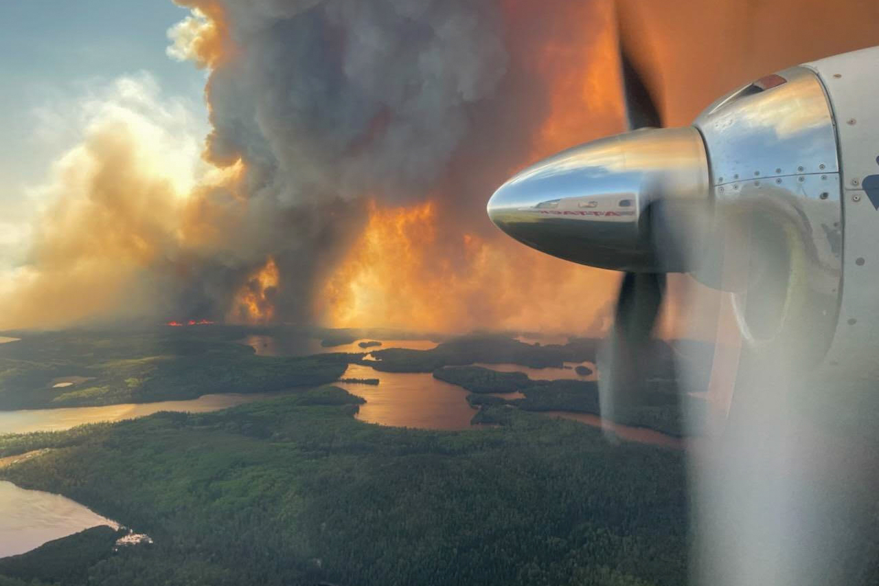 Cruel, cruel summer: what will the heat mean for forest fires ...