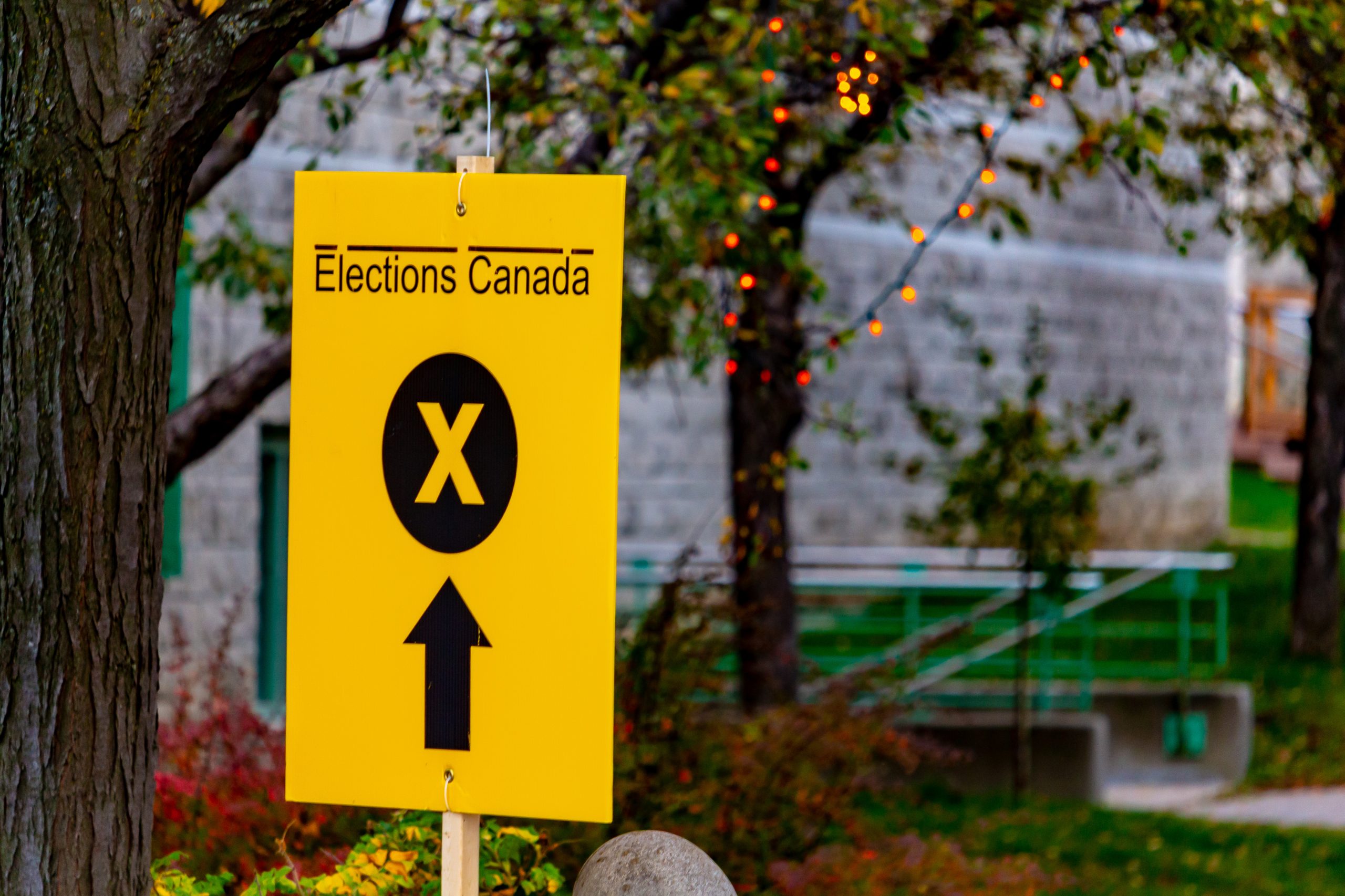 James Fleck: How will you be voting? - CANADIAN AFFAIRS